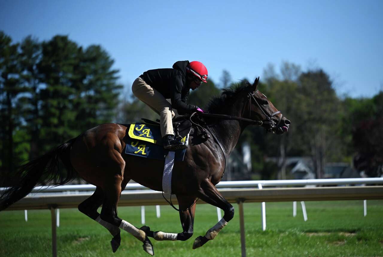 Photos: Thoroughbreds prepare for another Saratoga season