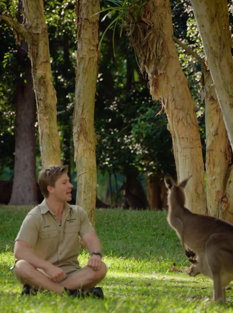 Robert Irwin and fashion icons align with royals over Sussexes