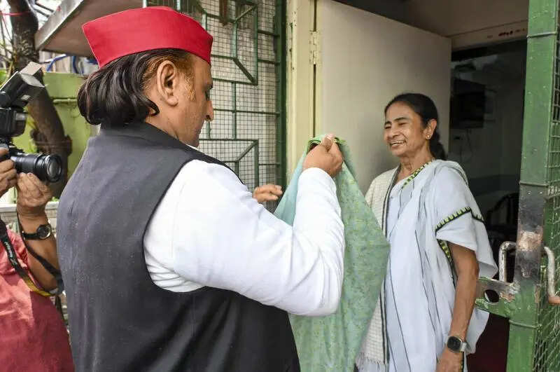 'Didi, you have not lost': Akhilesh meets Mamata