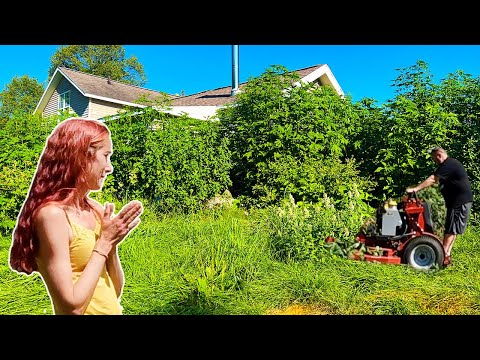Overgrown yard makeover: Stunning before & after transformation!