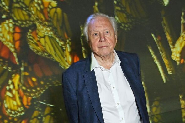 David Attenborough's quiet life in charming town he calls his ...