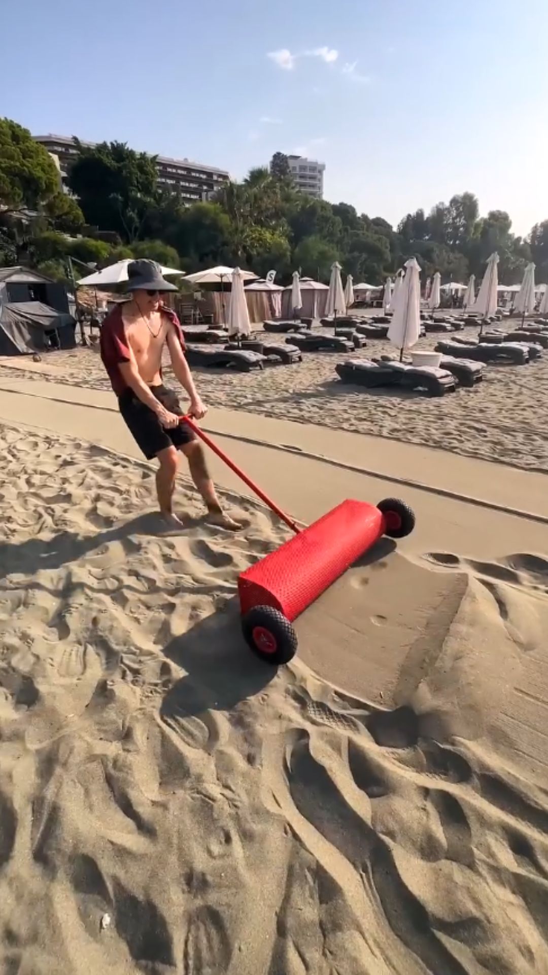 One week of beach sifting led to incredible discoveries