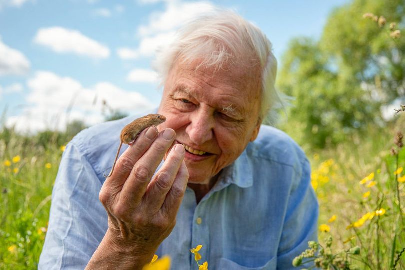 Sir David Attenborough turns 100 and is 'completely overwhelmed' by ...