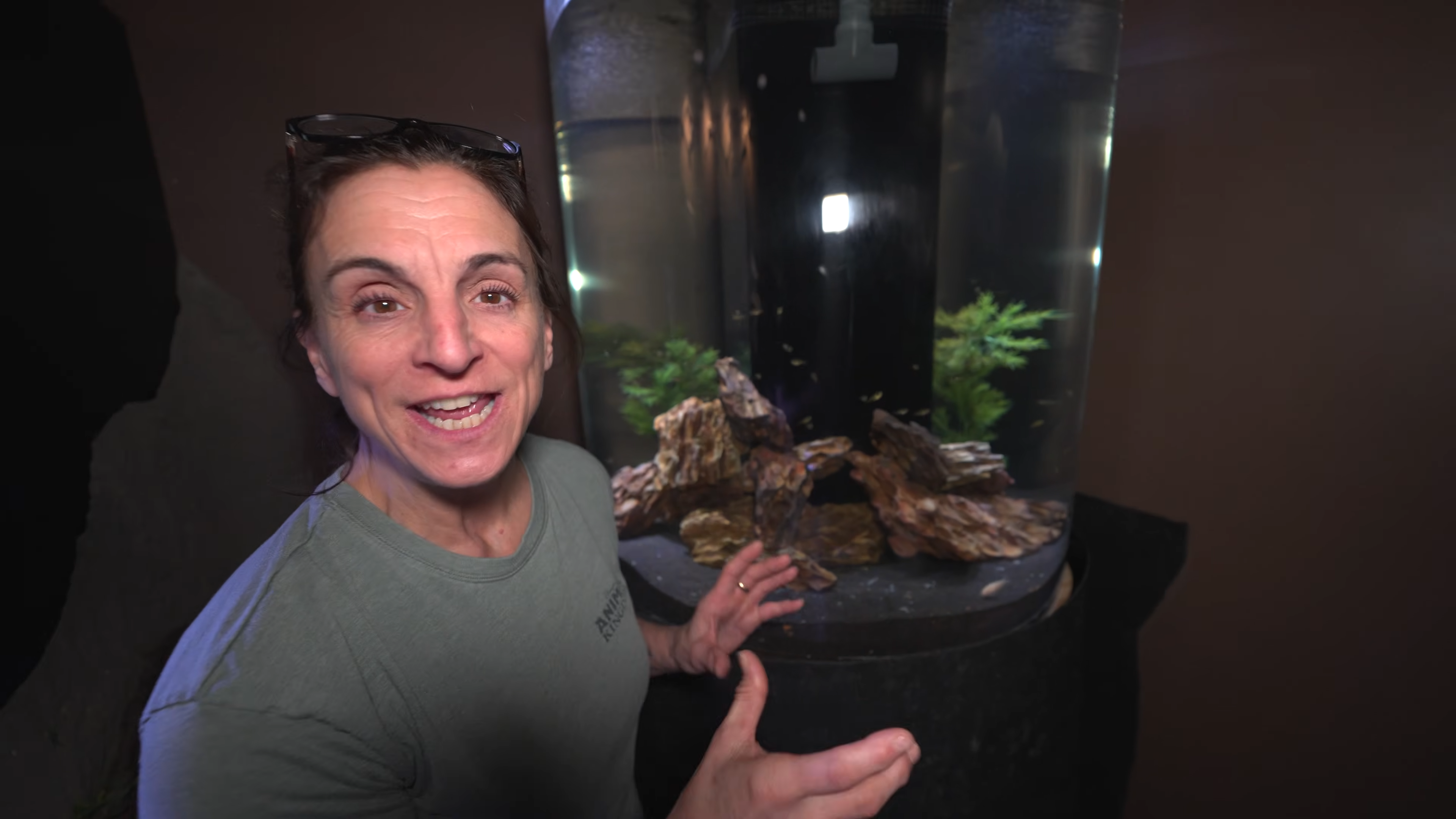 Their albino alligator shattered the enclosure midday - and guests were ...