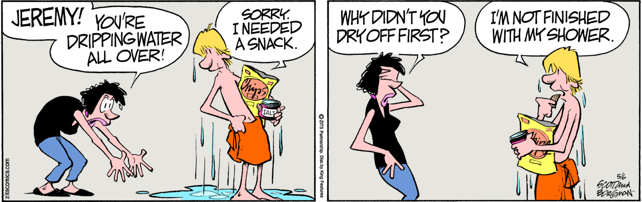 Zits by Jerry Scott and Jim Borgman