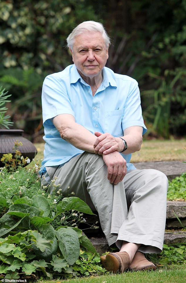As David Attenborough celebrates his 100th birthday, here are the ...