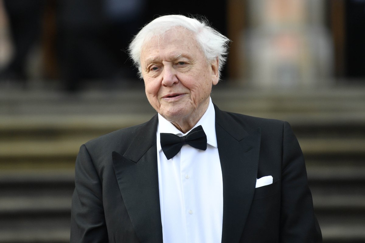 Famous birthdays for May 8: David Attenborough, Bill Cowher