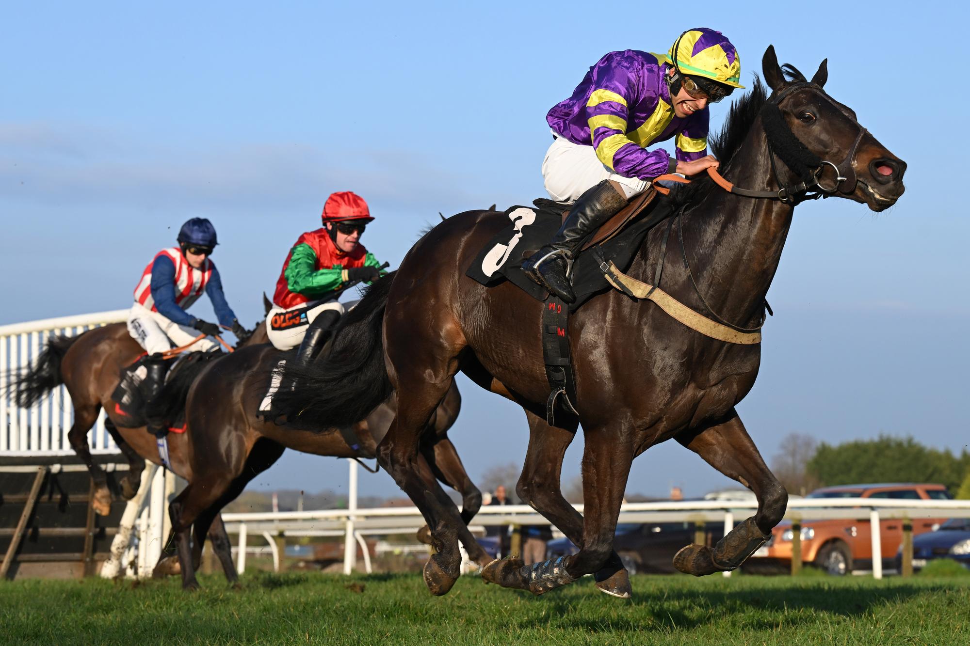 Equine flu outbreak forces cancellation of Plumpton race meeting