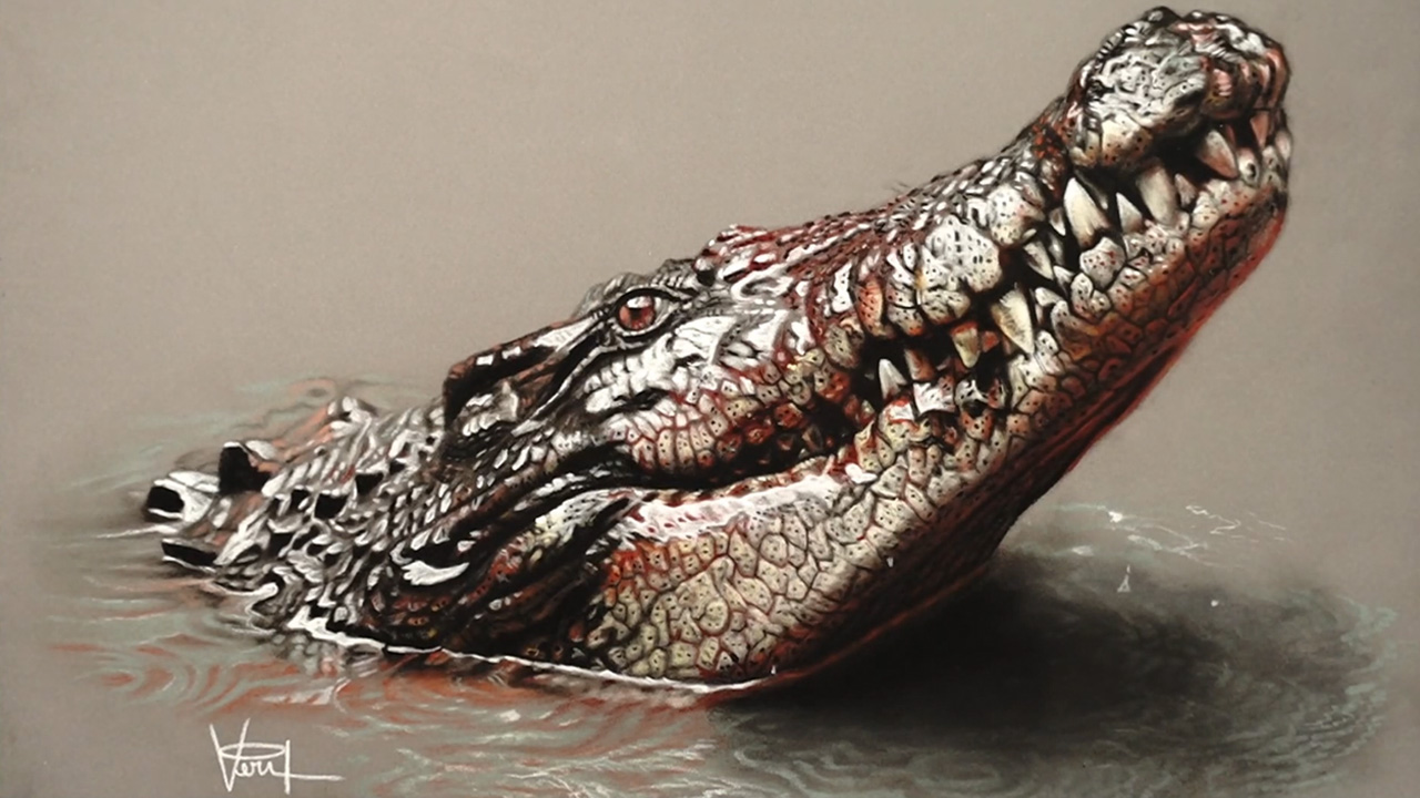 From sketch to striking wildlife art: How to draw a realistic alligator ...