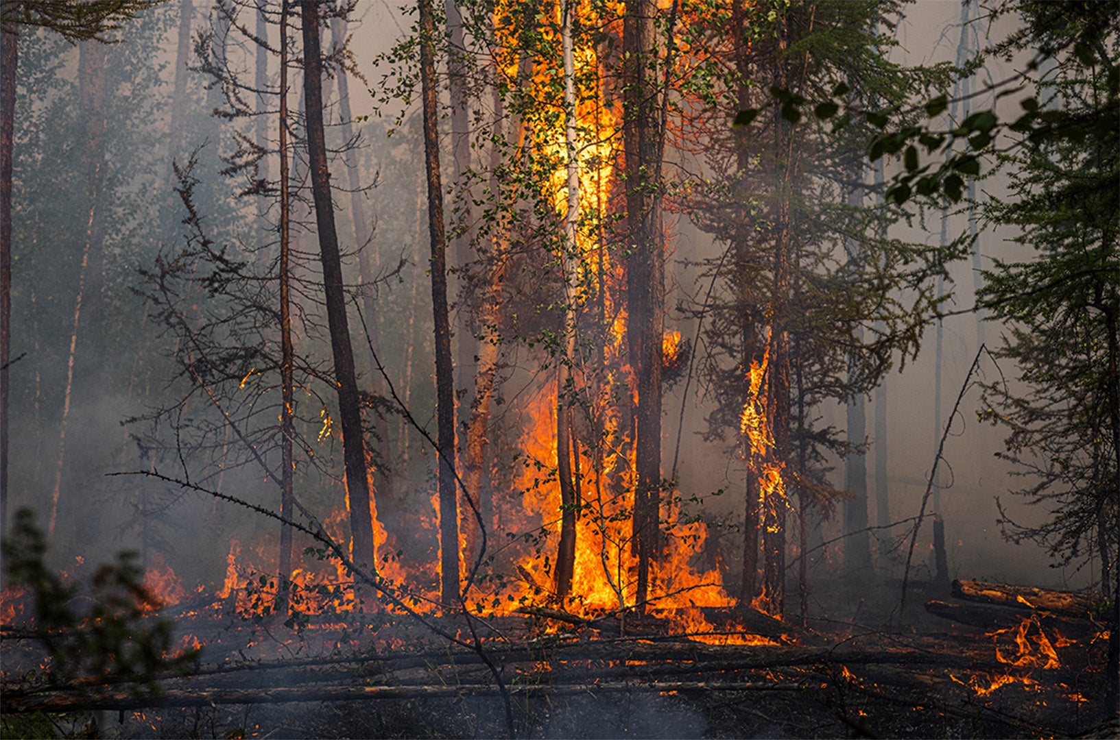 The Arctic is on fire — and no, it’s not normal
