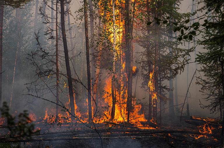 The Arctic is on fire — and no, it’s not normal