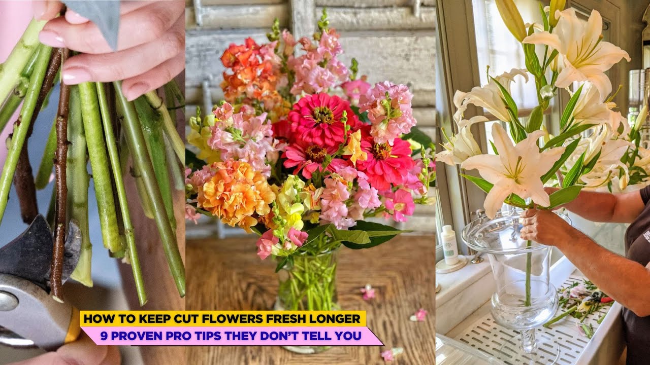 Keep your cut flowers fresh longer with these 9 expert tips