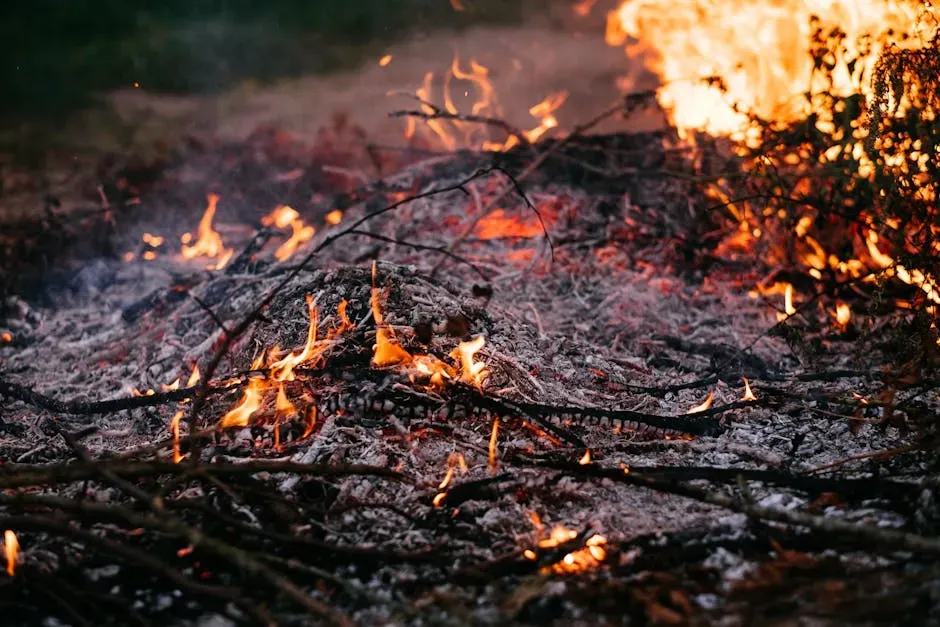 6 backyard burning mistakes that could get you fined - yet still happen ...