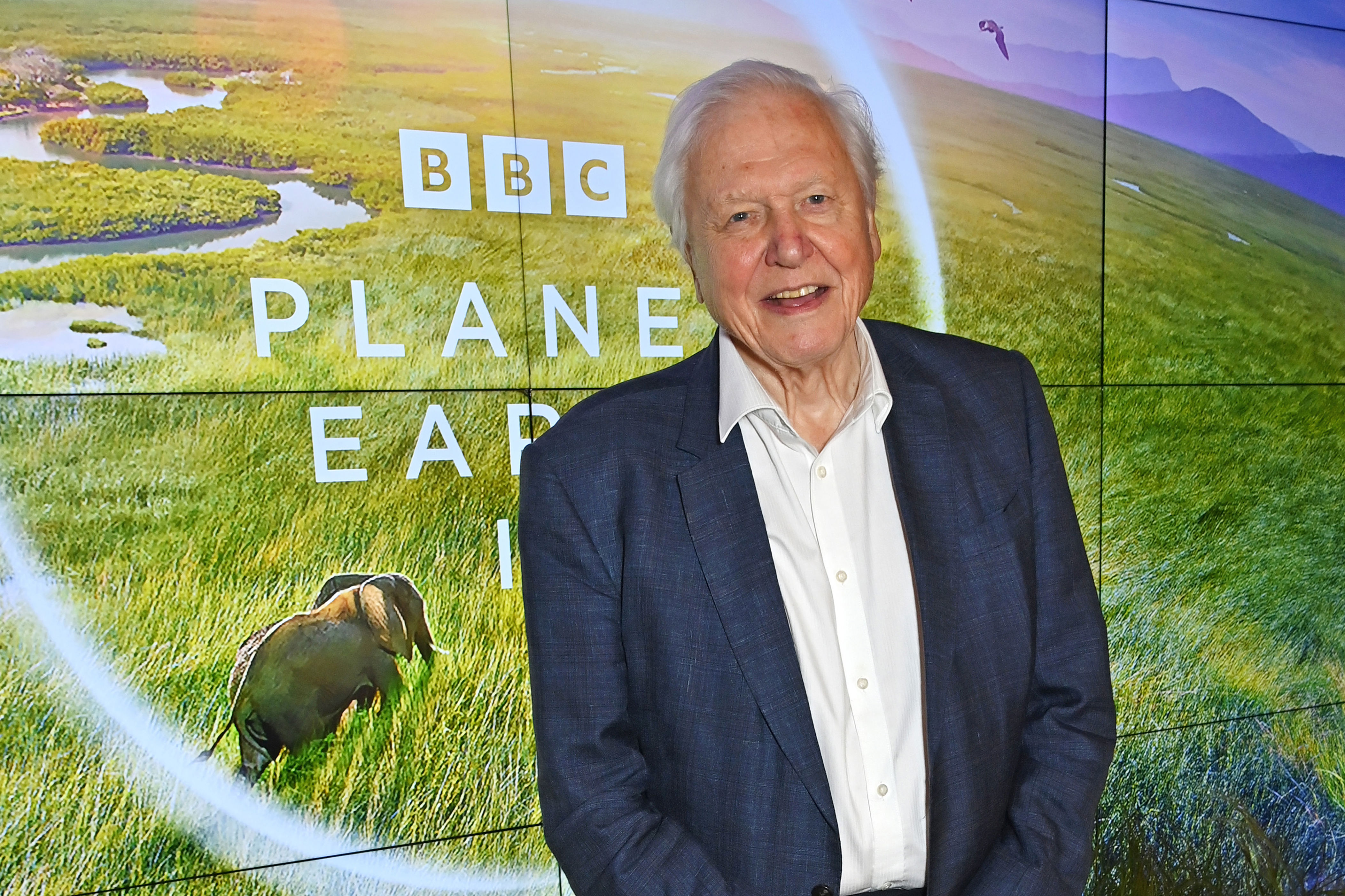 Happy 100th birthday, David Attenborough! 13 surprising facts about the ...