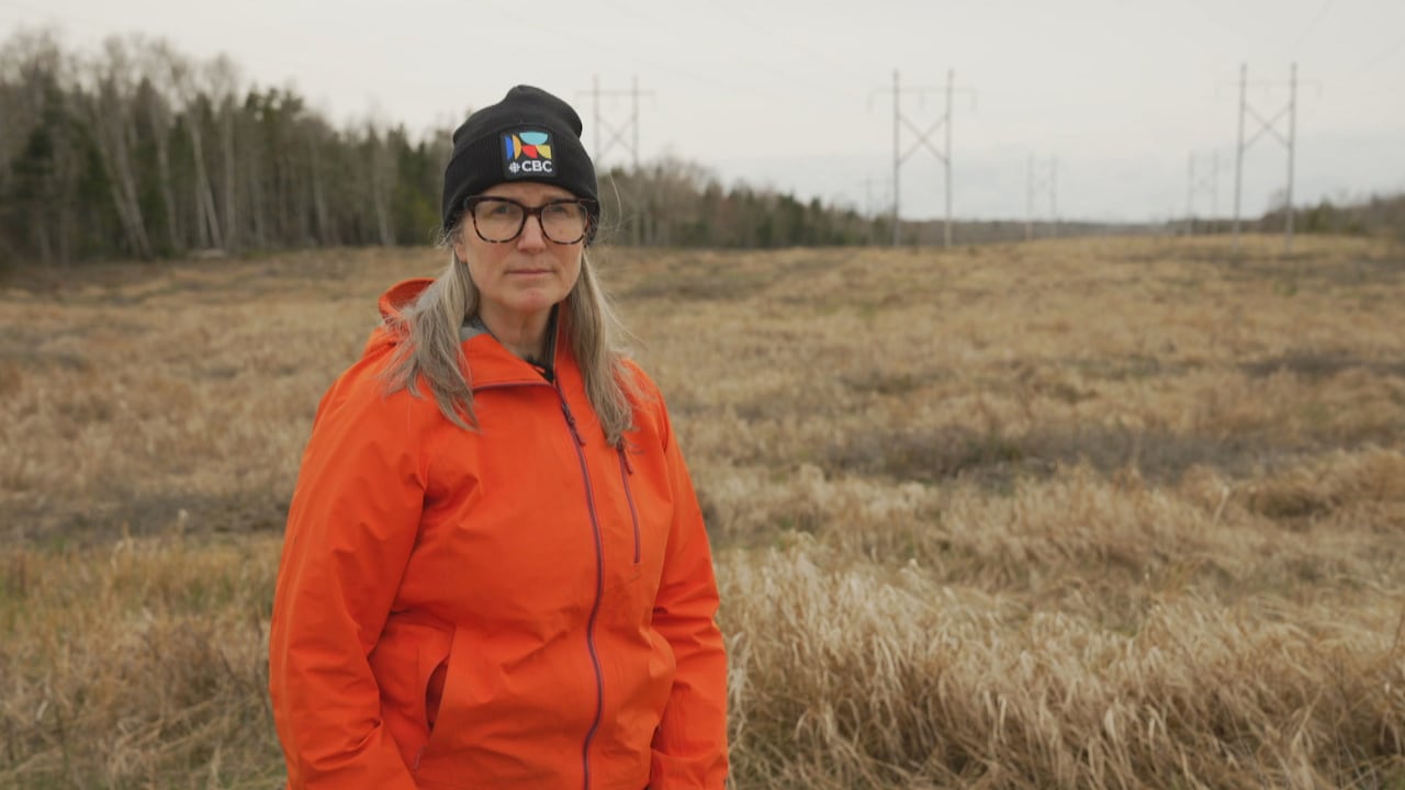 Proposed solar farm in rural Tantramar would be one of Canada’s biggest