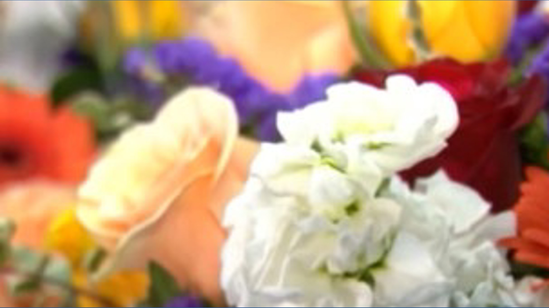 Mother's Day flowers