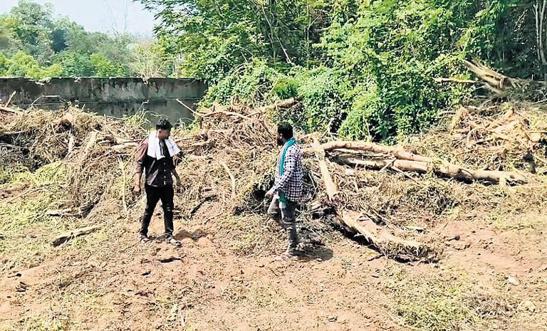 National Green Tribunal issues notice to Odisha govt over tree felling ...