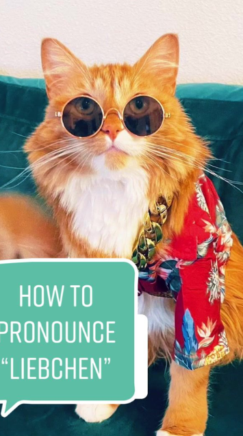 German cat name ideas every pet owner should see