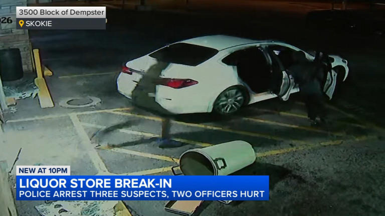 Thieves break into liquor store in Skokie, crash into police squad car ...
