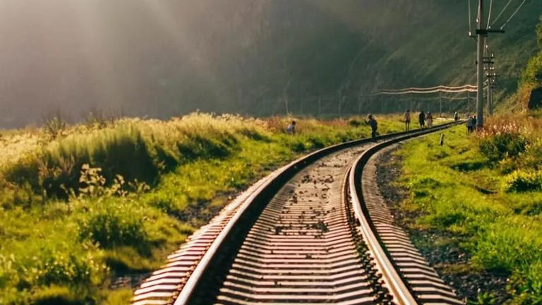Farmers in crisis: SA's citrus industry calls for urgent rail reform