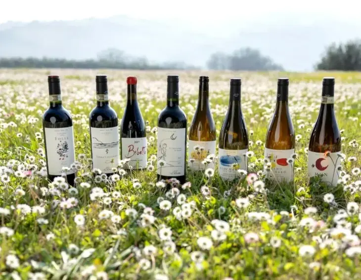 Sulle colline di Ancona due fratelli producono uno dei migliori rosati ...