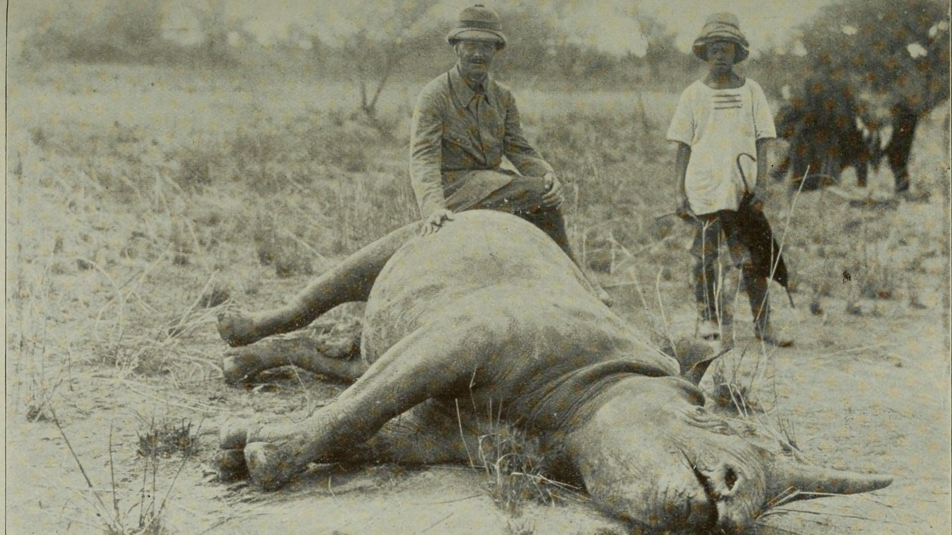 20 animal species from history that disappeared because of humans