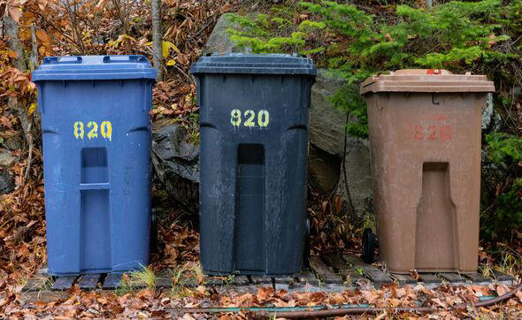UK households cautioned bins won't be collected if 1 item is found in ...
