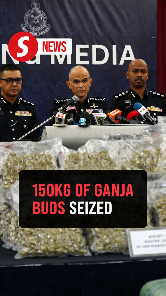 Seven drug mules held, over 150kg of ganja buds seized in KLIA ops