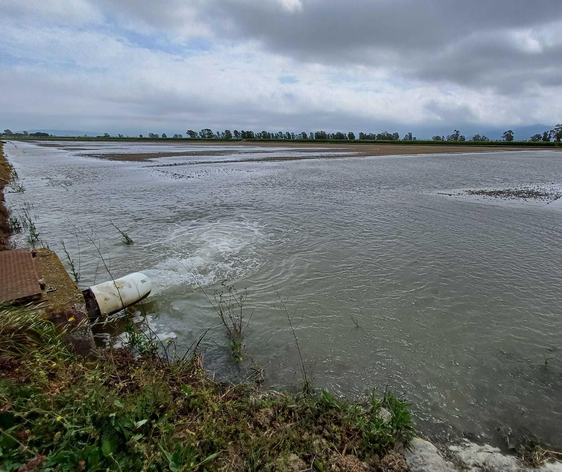 Consorzio, al via la stagione irrigua. Saranno serviti più di 3600 ettari
