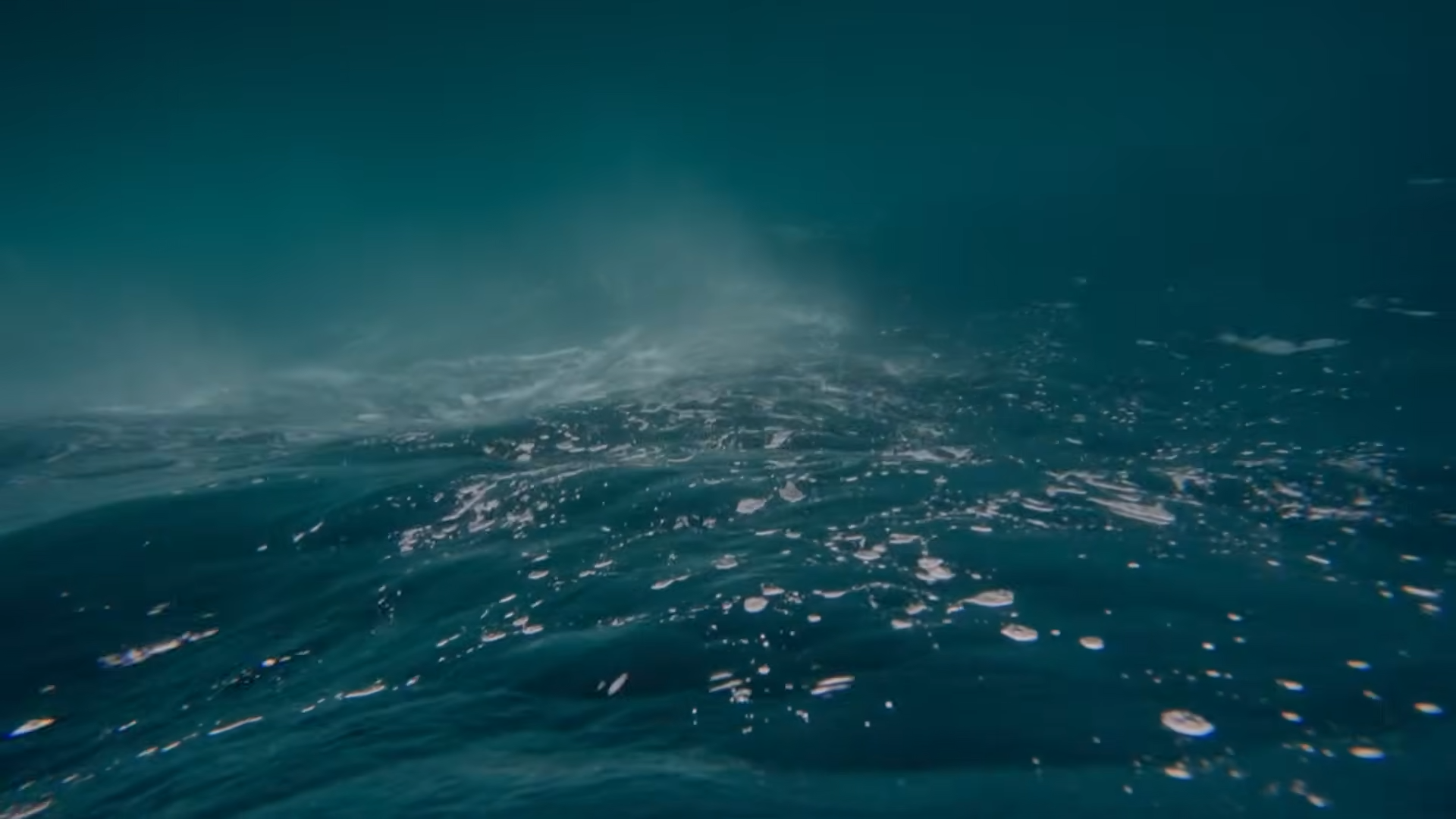 A 300-metre ship vanished near Japan - then sonar found the wreck
