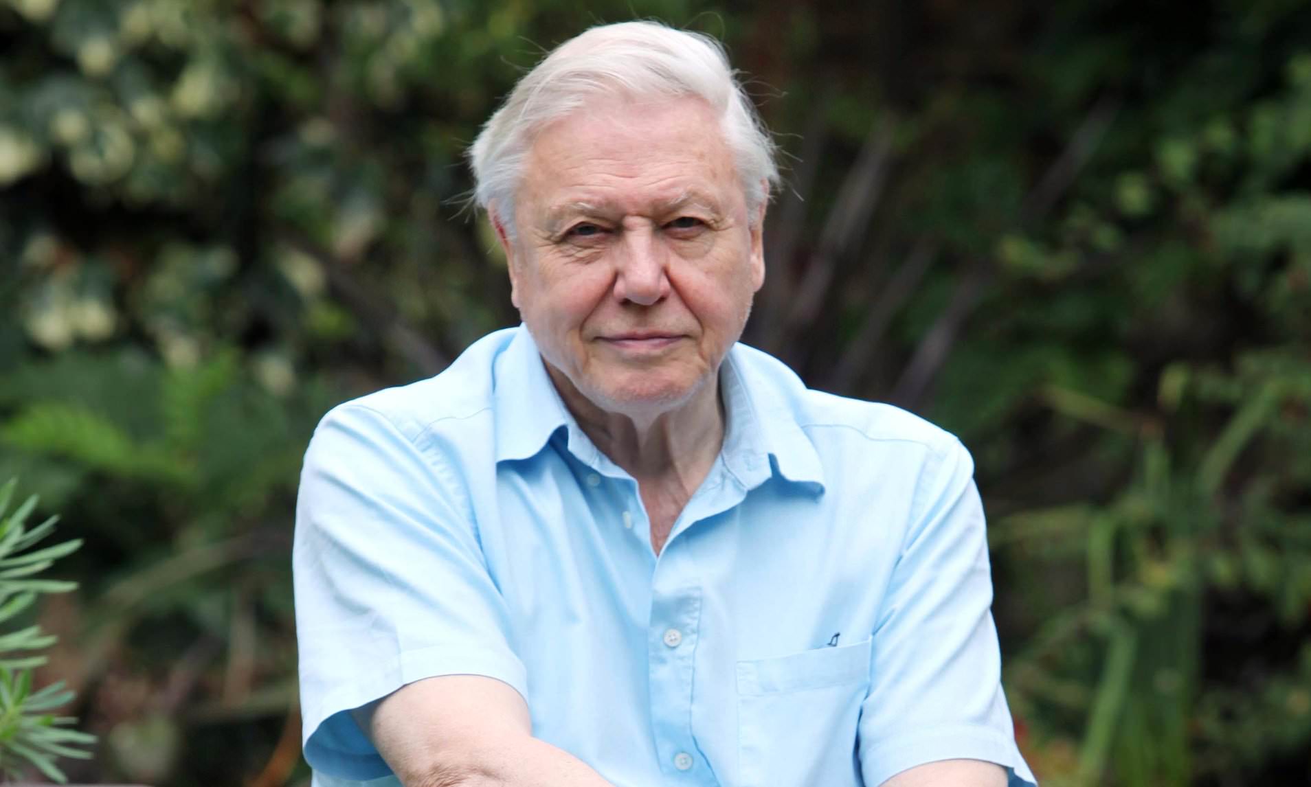 As David Attenborough celebrates his 100th birthday, here are the ...