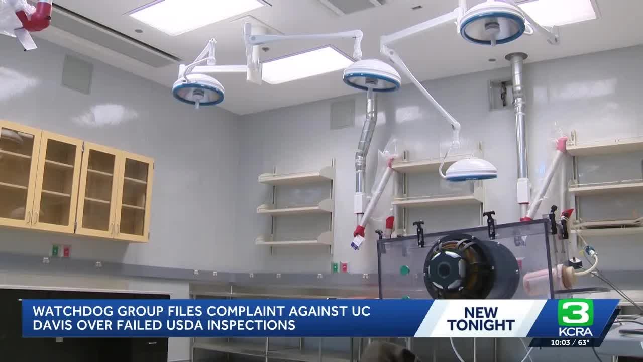 UC Davis accused of animal welfare violations at primate center