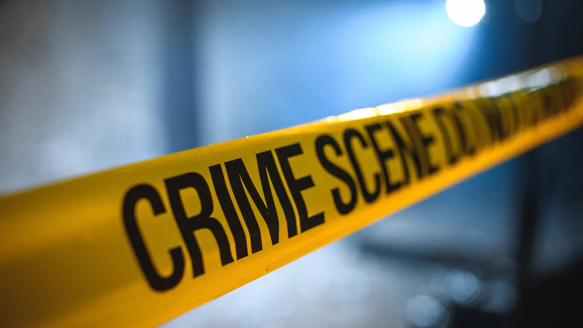BJP leader among three killed in Chhattisgarh sand mining dispute, four ...