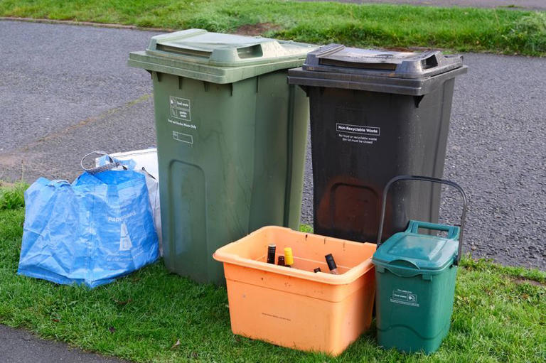 Keep flies away from wheelie bins in spring using a very common ...