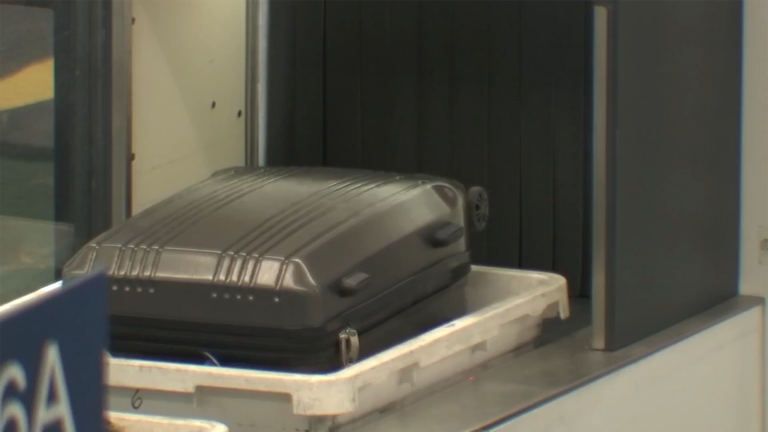 Flying high: Man arrested for trying to take 50 pounds of marijuana on ...
