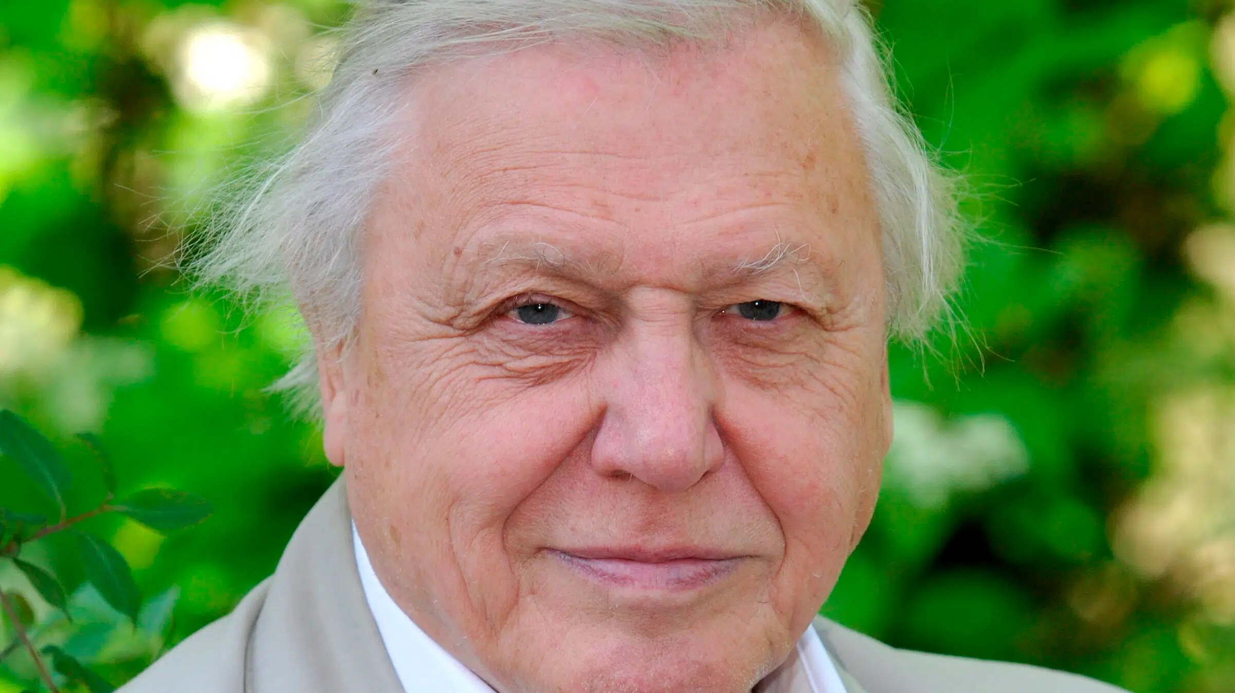 David Attenborough fylder 100: Fejres med nye programmer