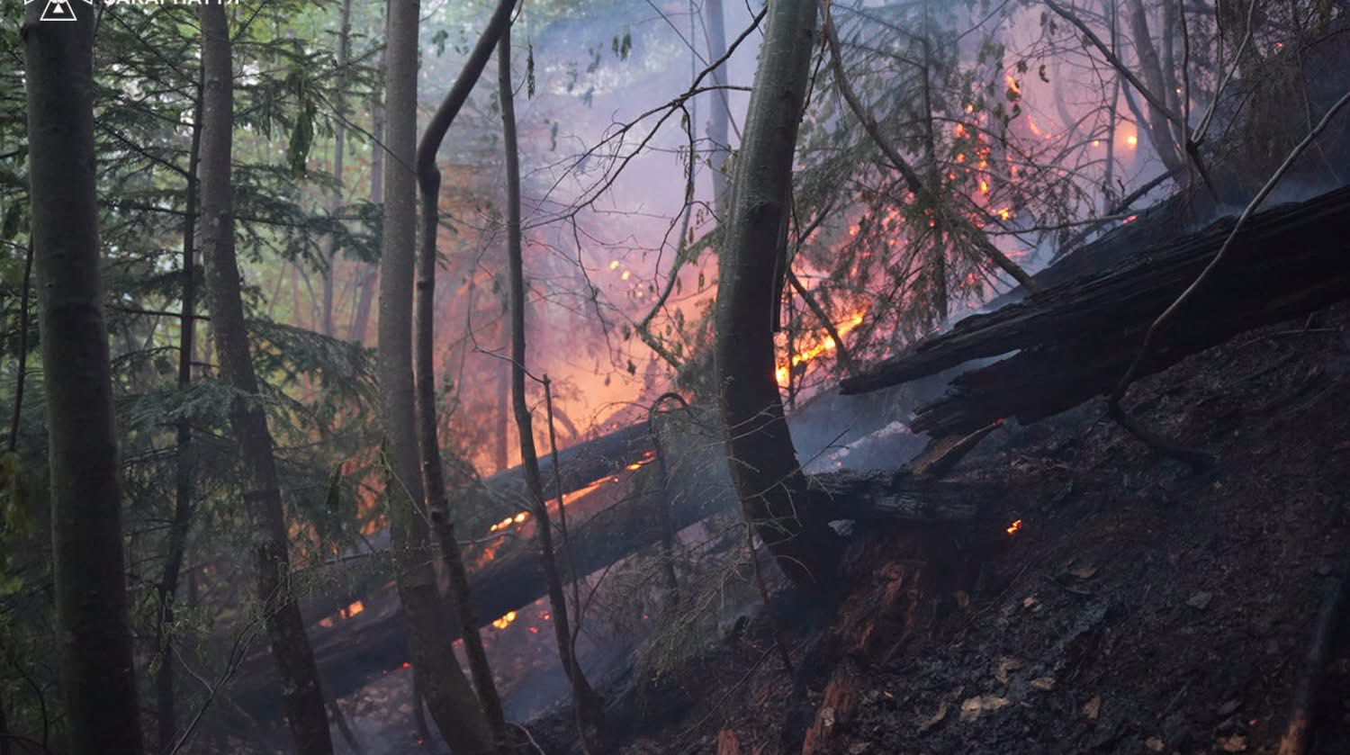 Large forest fire on Chernihiv Oblast border shifts back towards Russia