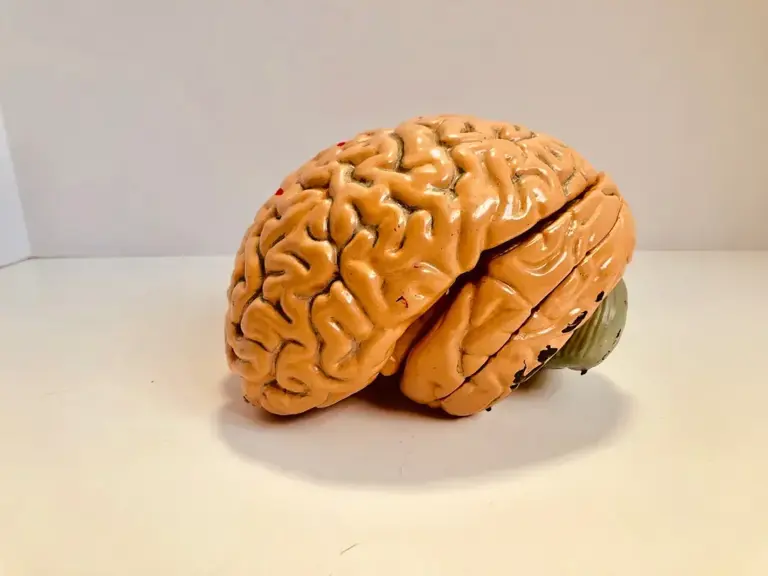 Why left-handed people may have a genetic edge researchers didn't expect