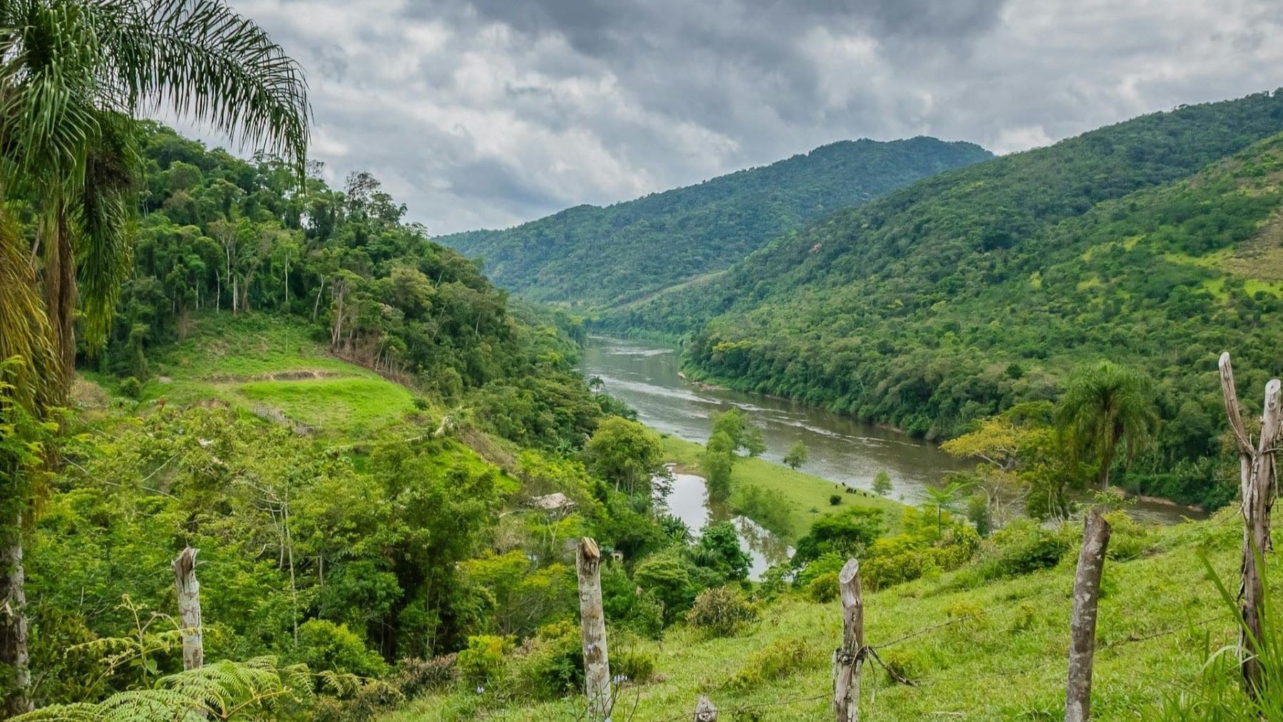 La deforestación continuada y el calentamiento global convertirán la ...
