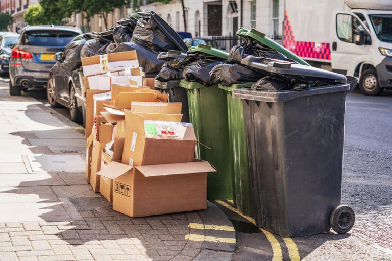 Households urged to put 1 very common item in wheelie bin to stop flies ...