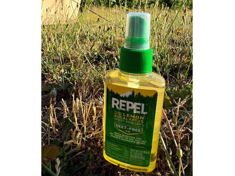 Best bug sprays for 2026, tried and tested on camping trips