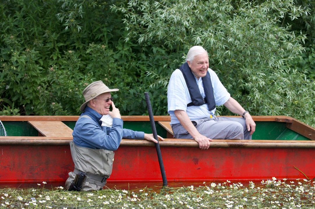 Mike Gunton on 40 years with Attenborough