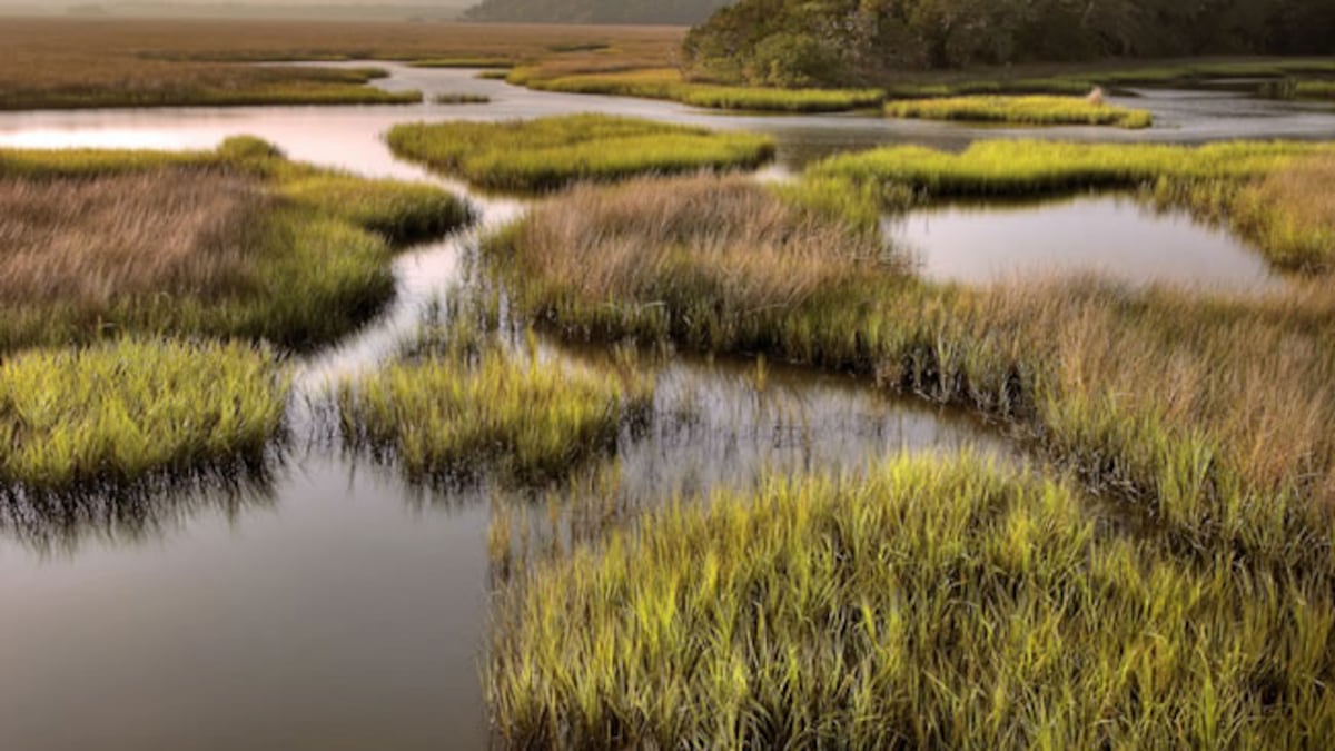 Florida’s Legislature is dismantling the popular Florida Forever ...