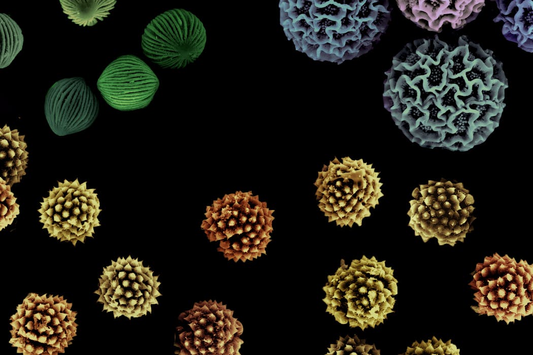 How a repurposed medical device is helping us investigate ancient ...