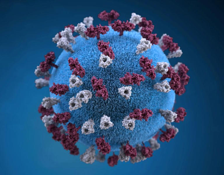 Researchers identify antibodies that may prevent and treat measles ...