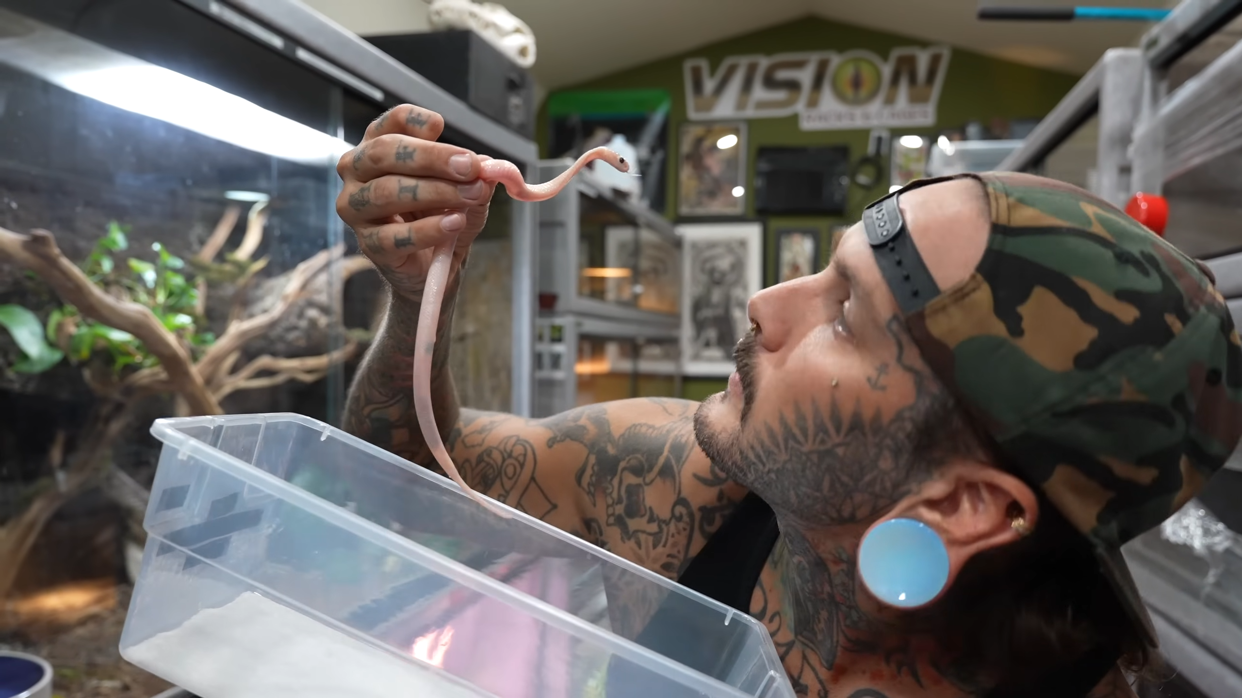 He plays with this cute little snake - but one bite can kill him
