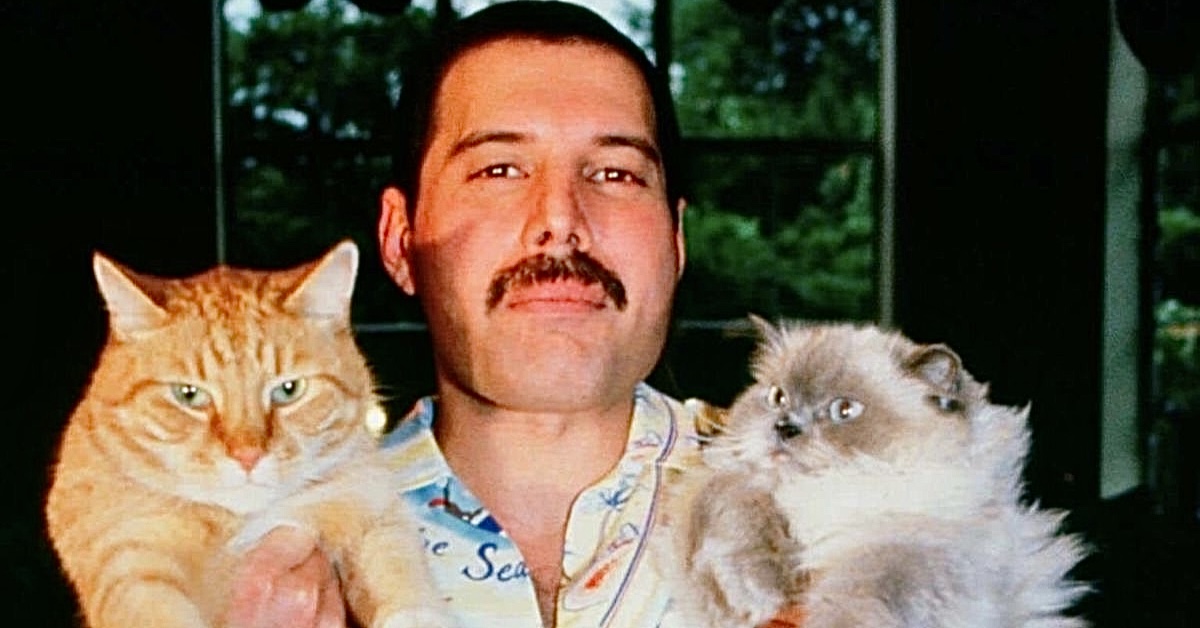 20 old-school rockers who knew how to have a good time