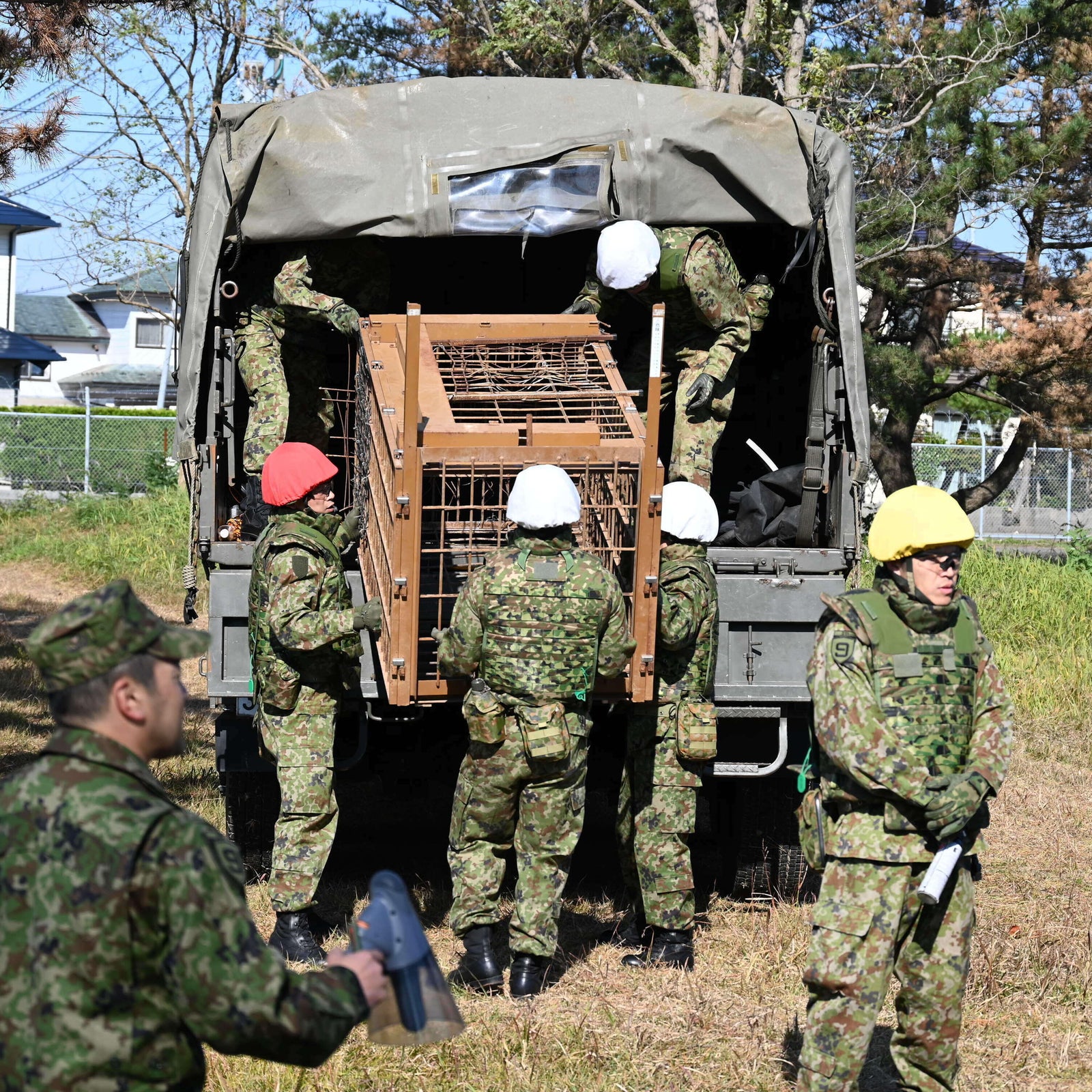 Bear kills woman in Japan, 2 more fatal attacks suspected