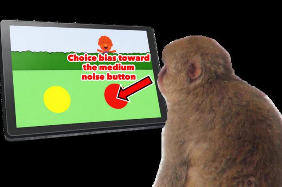 Scientists stumped as monkeys play video game without expecting reward