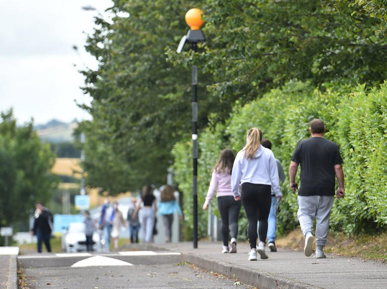 Cyber attack hits Cork universities as Canvas learning platform goes ...